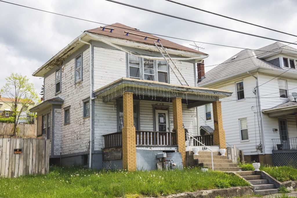 56 marijuana plants seized in Uniontown - Herald-Standard